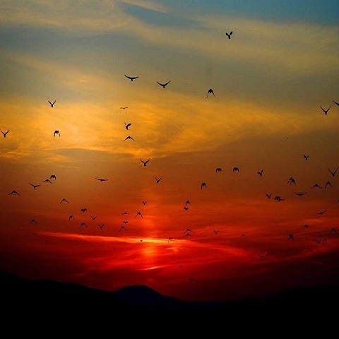 دانلود آهنگ صادق بوقی یه روزی تنگ غروب آسمون (شاد و شنیدنی) | Hit Ava